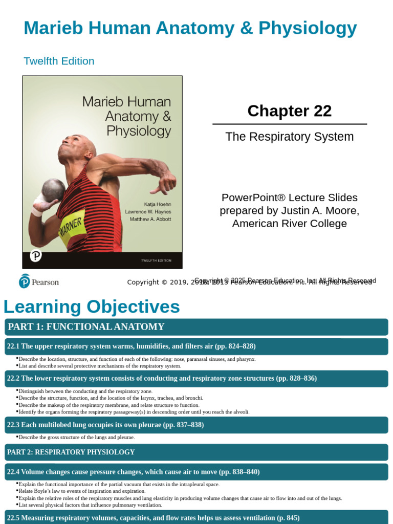 Ch.22 Resp Revised Part 1 | PDF | Respiratory Tract | Human Nose