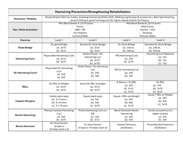 Hamstring Prehab Exercises | PDF | Hip | Soft Tissue