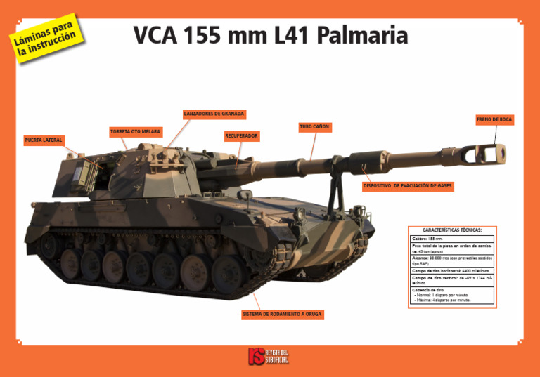 Rs709 Lamina Palmaria 01 | PDF