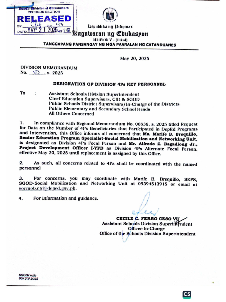 REC - DM - 453 S. 2025 - Designation of Division 4Ps Key Personnel | PDF