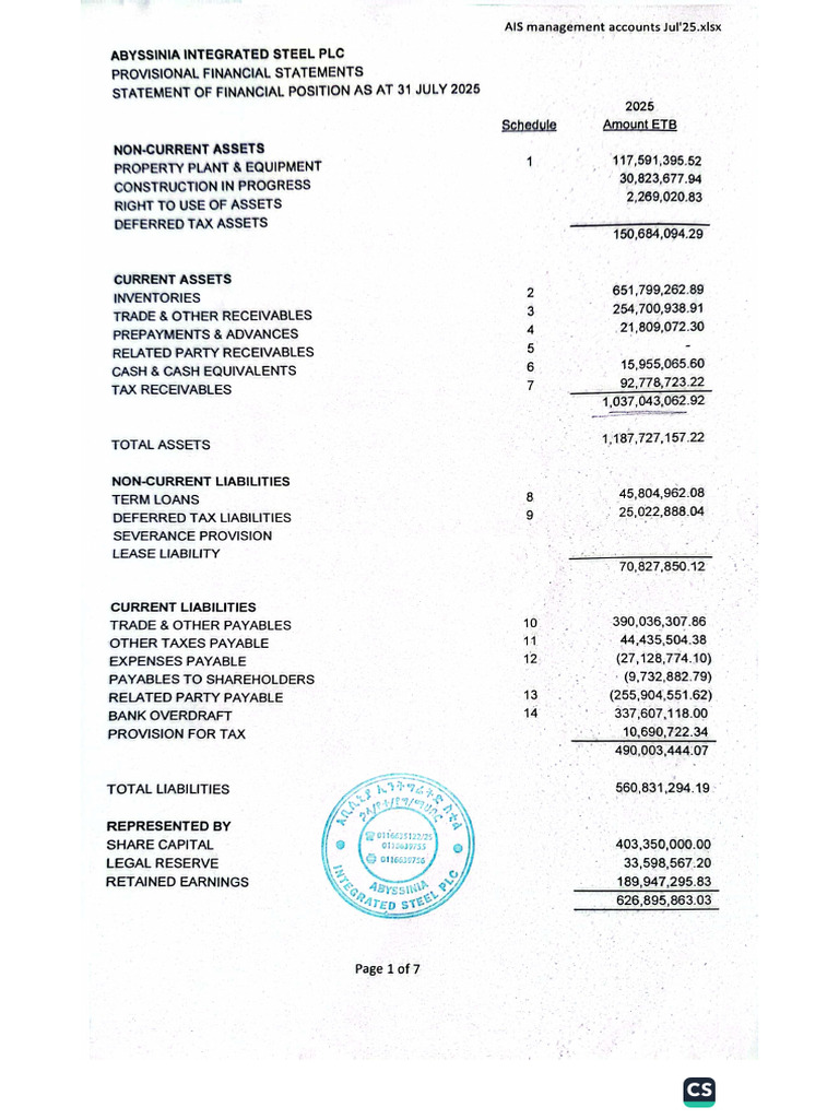 Sample Format of Balance Sheet 08-25-2025 16.53 | PDF