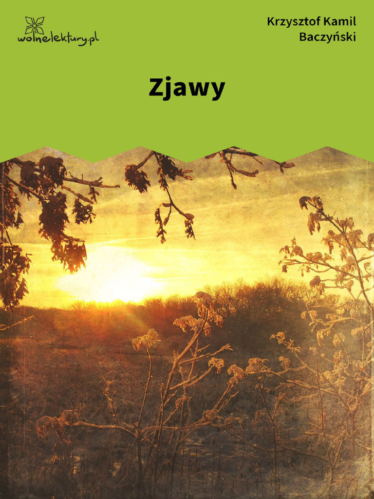 Baczynski Zjawy | PDF
