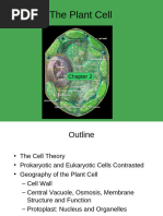 Plant Cell Drawing and Labelling - Google Search | PDF | Cell (Biology) | Endoplasmic Reticulum