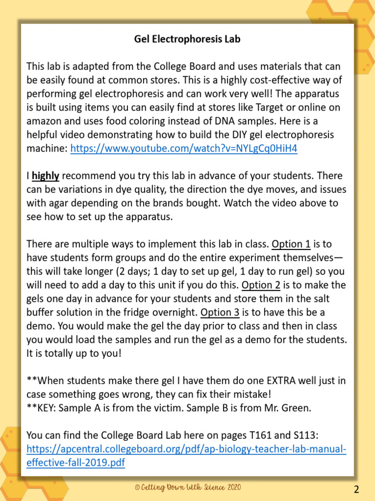 Gel Electrophoresis Lab Teacher Notes | PDF | Agarose Gel Electrophoresis