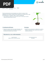 Ficha Técnica de Verango® Prime | PDF
