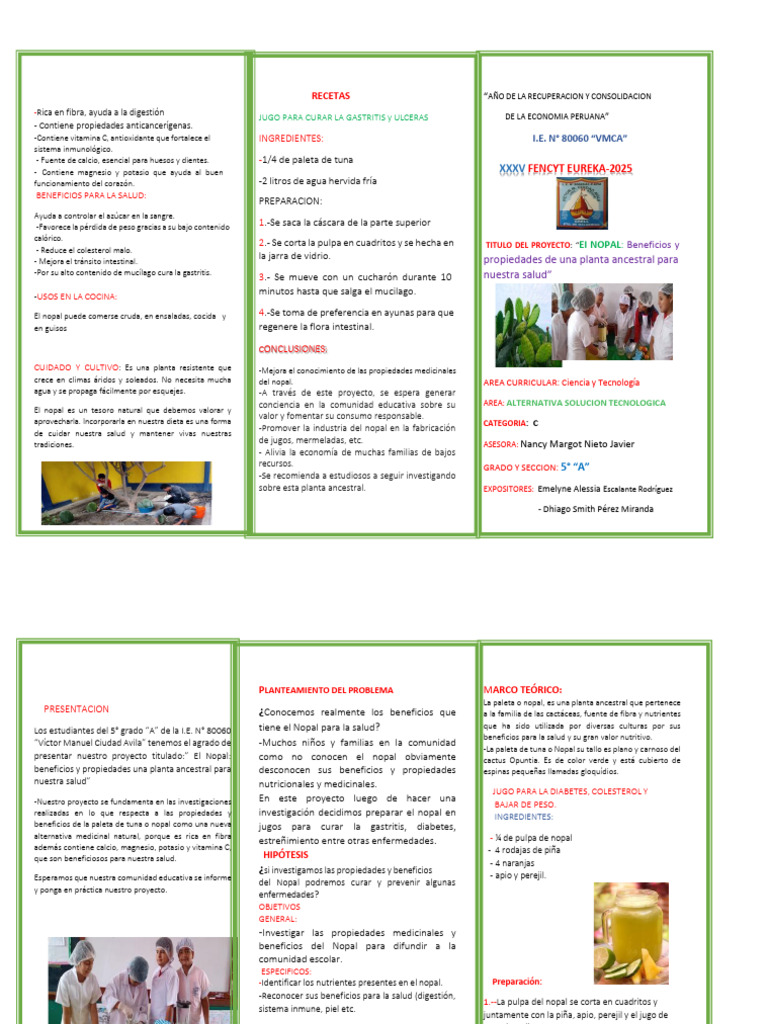 Triptico 2025 - N | PDF | Nutrición | Dieta y nutrición