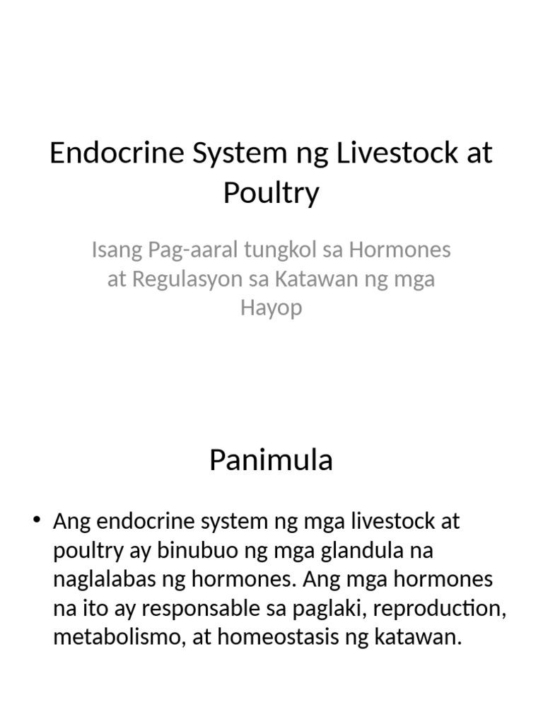 Endocrine System Livestock Poultry | PDF