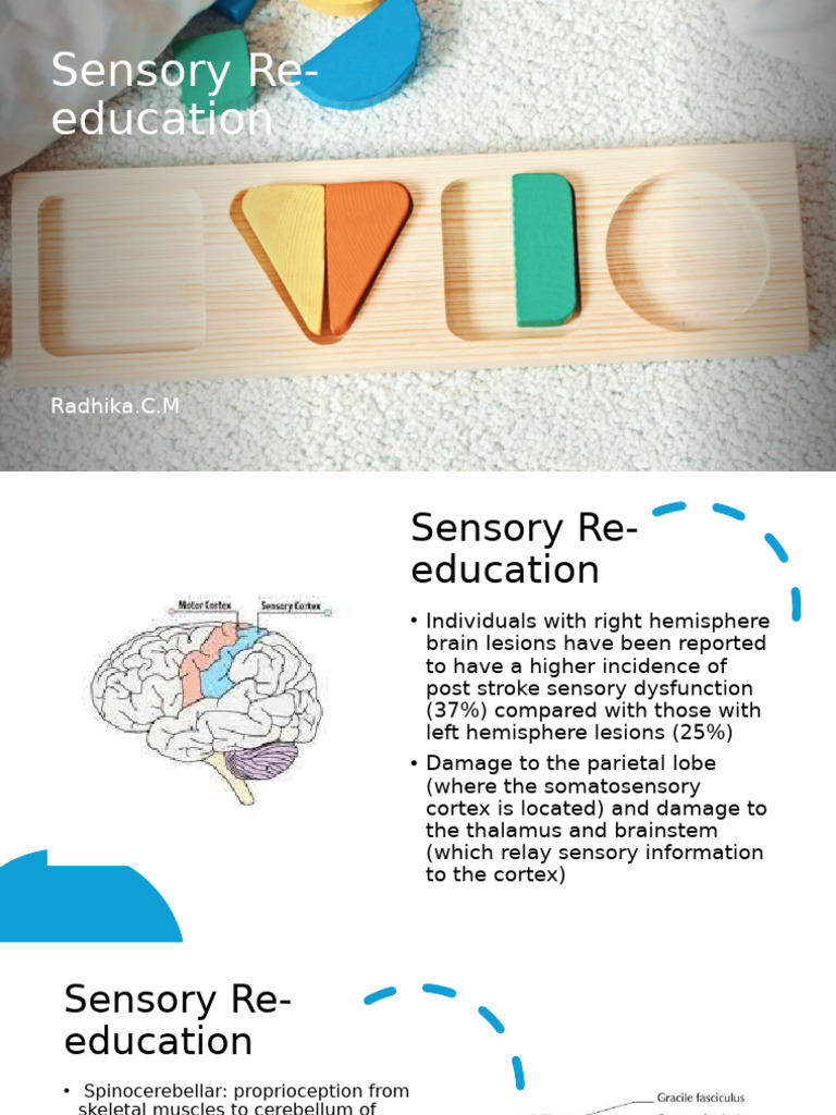 Sensory Re-education Techniques Post-Stroke | PDF | Somatosensory ...