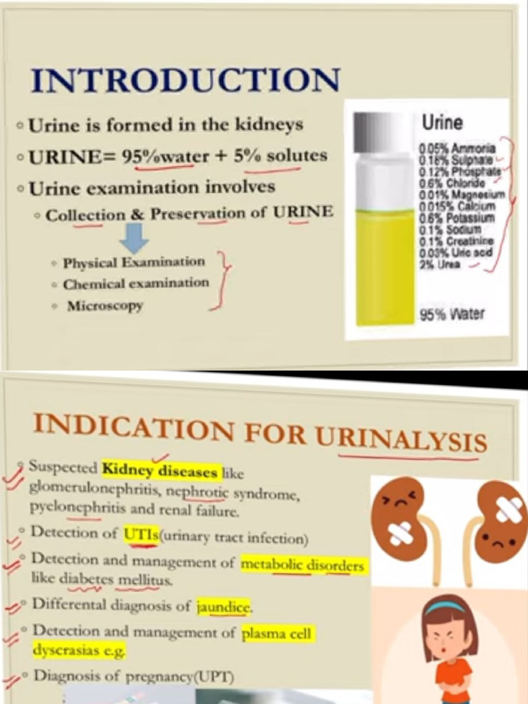 Urine Examination Patho | PDF