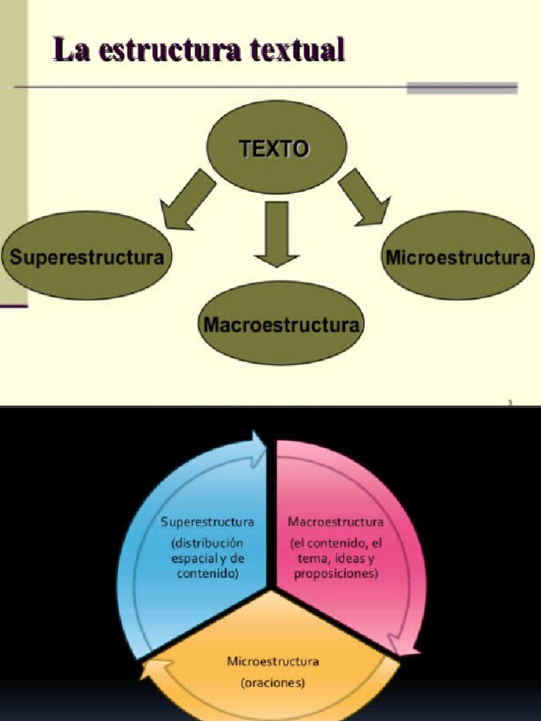 Estructura Del Texto-1 | PDF
