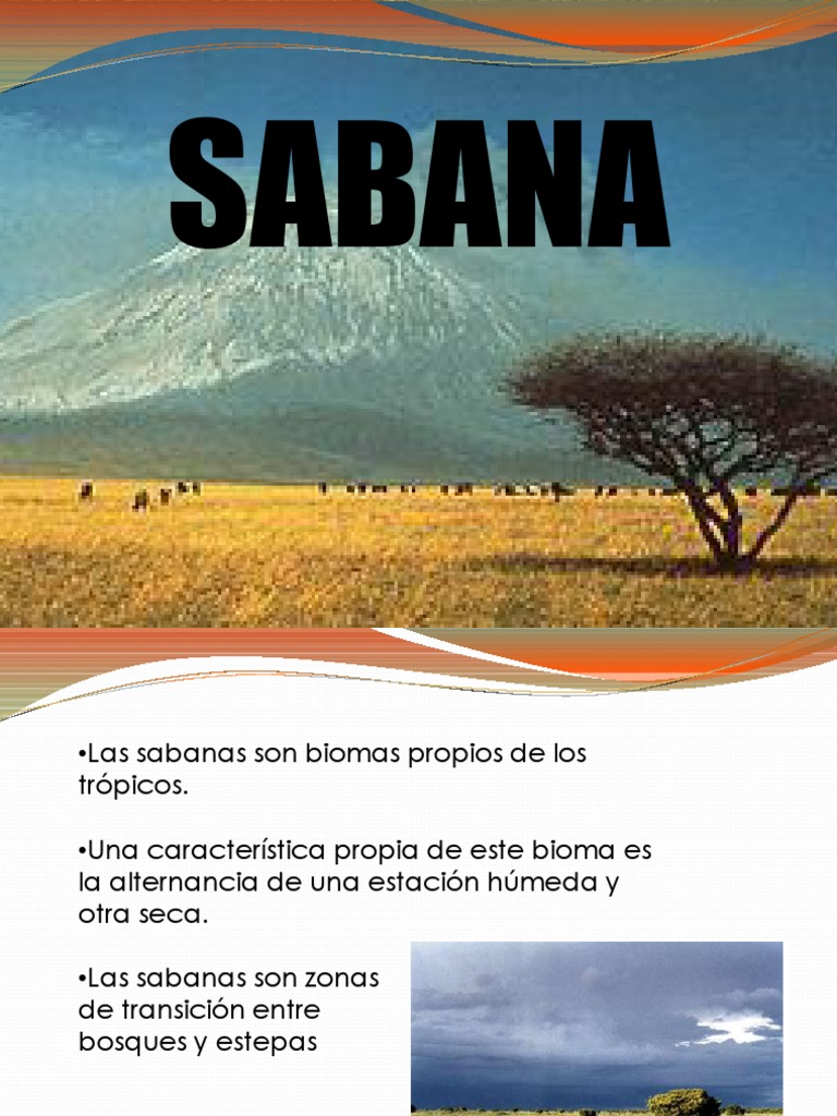 Biomas... Sabana y Tundra | Arboles | Ciencias de la tierra y de la vida