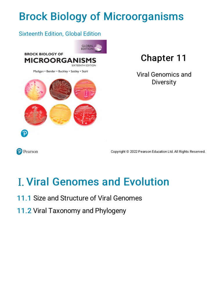 Viral Genomics and Diversity Overview | PDF | Virus | Reverse Transcriptase