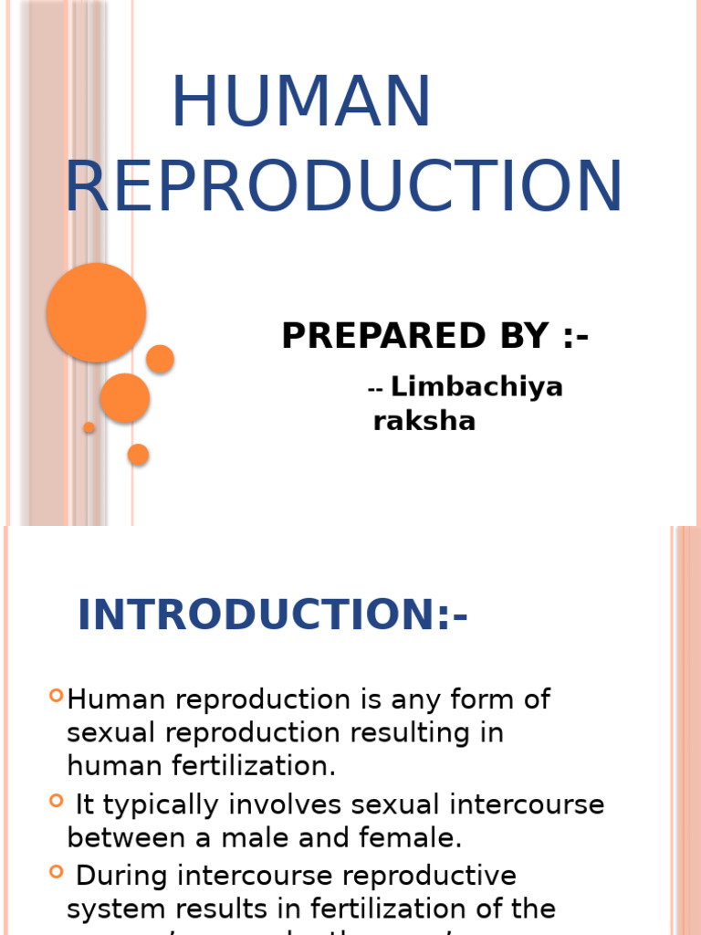 Overview of Human Reproductive Anatomy | PDF | Menstrual Cycle | Uterus