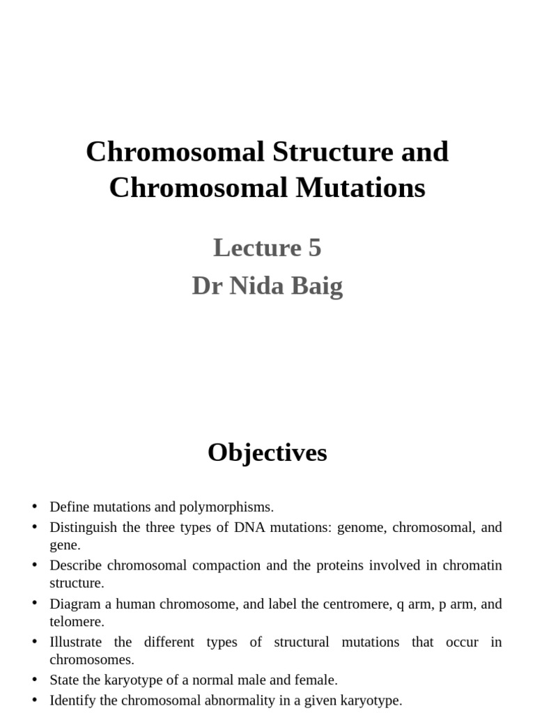 Chromosomal Structure and Chromosomal Mutations Lecture 5 | PDF ...