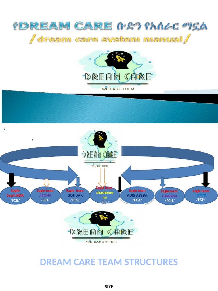 Dream Care Team System Training | PDF