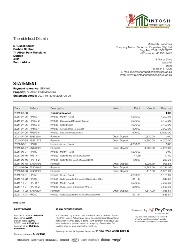 Tenantstatement ThembinkosiDlamini 2024 01-30-2025!08!25 | PDF | Credit ...