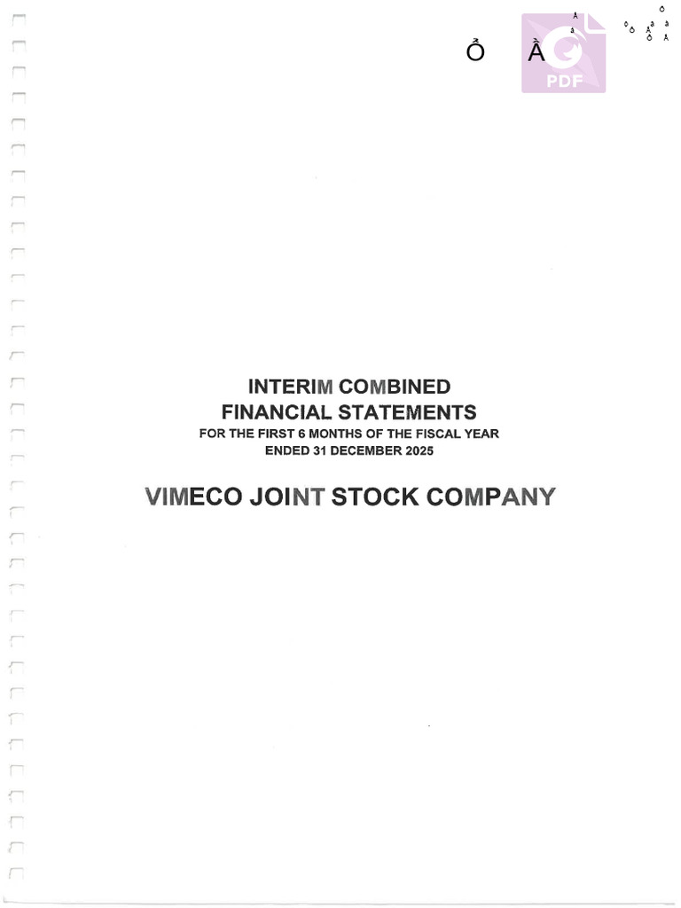 en FS Interim Combined 6 2025 | PDF