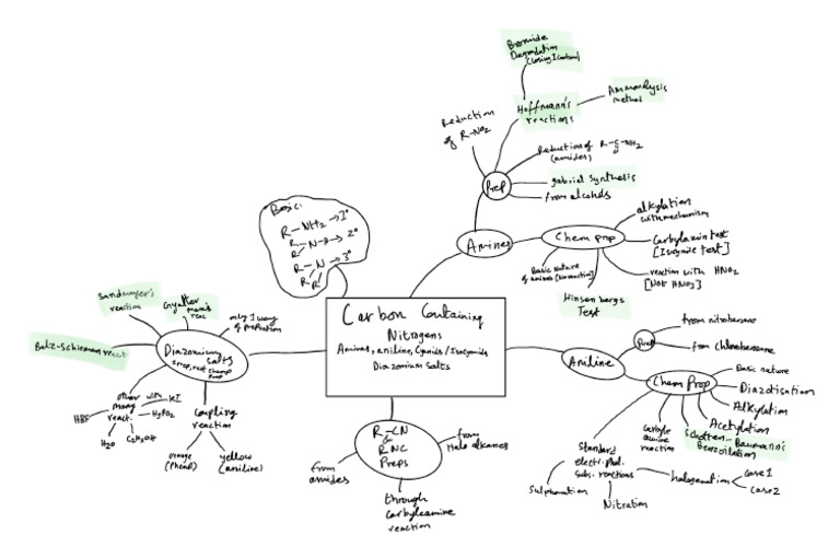 Mind Map of Carbon Contains Nitrogen | PDF