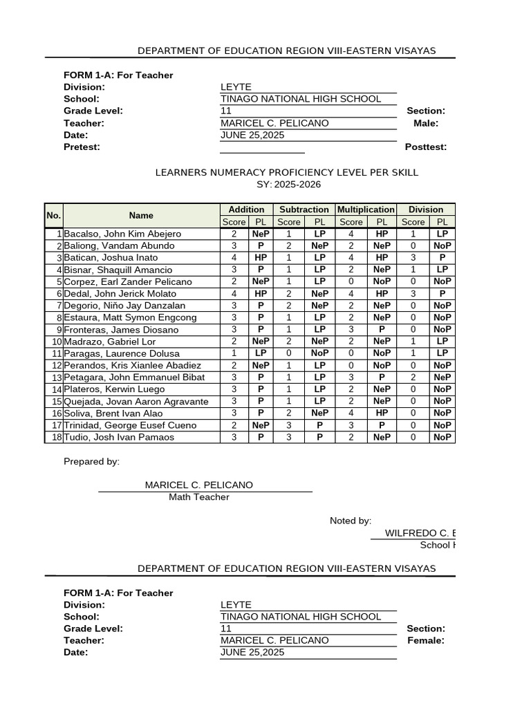 Numeracy Template Grade 11 | PDF | Intelligence