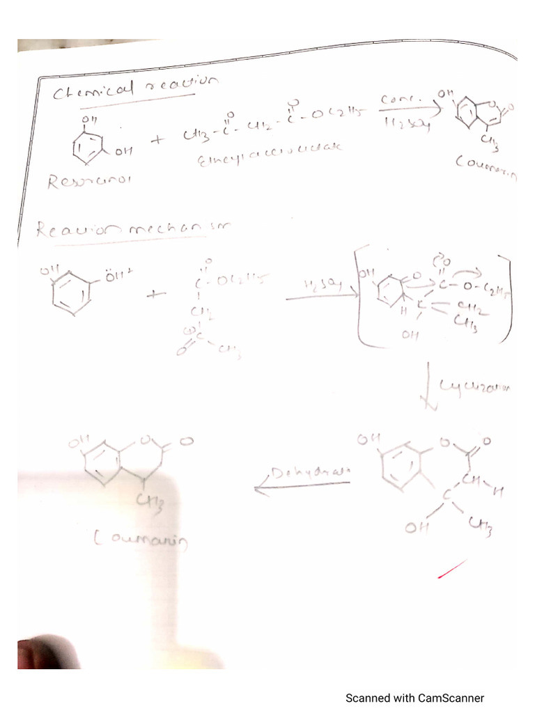 Med Chem Practical | PDF