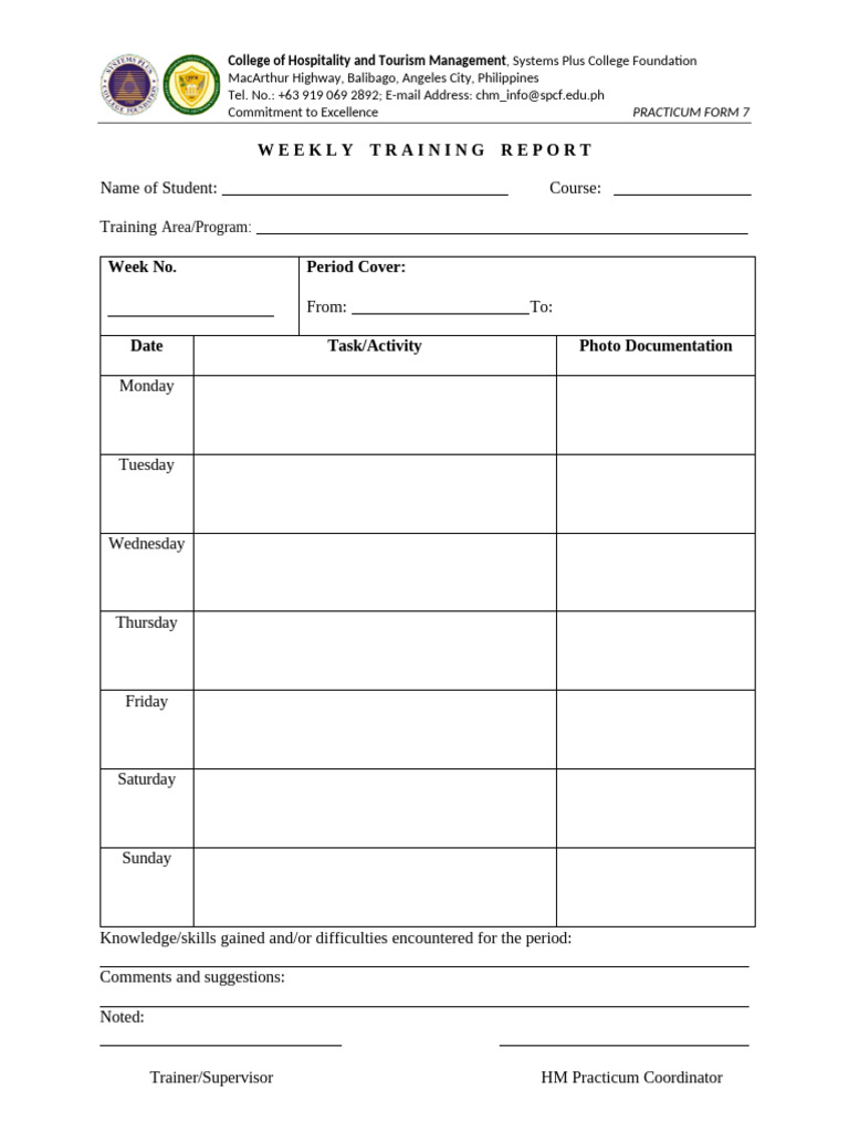 Weekly Practicum Training Report Form | PDF