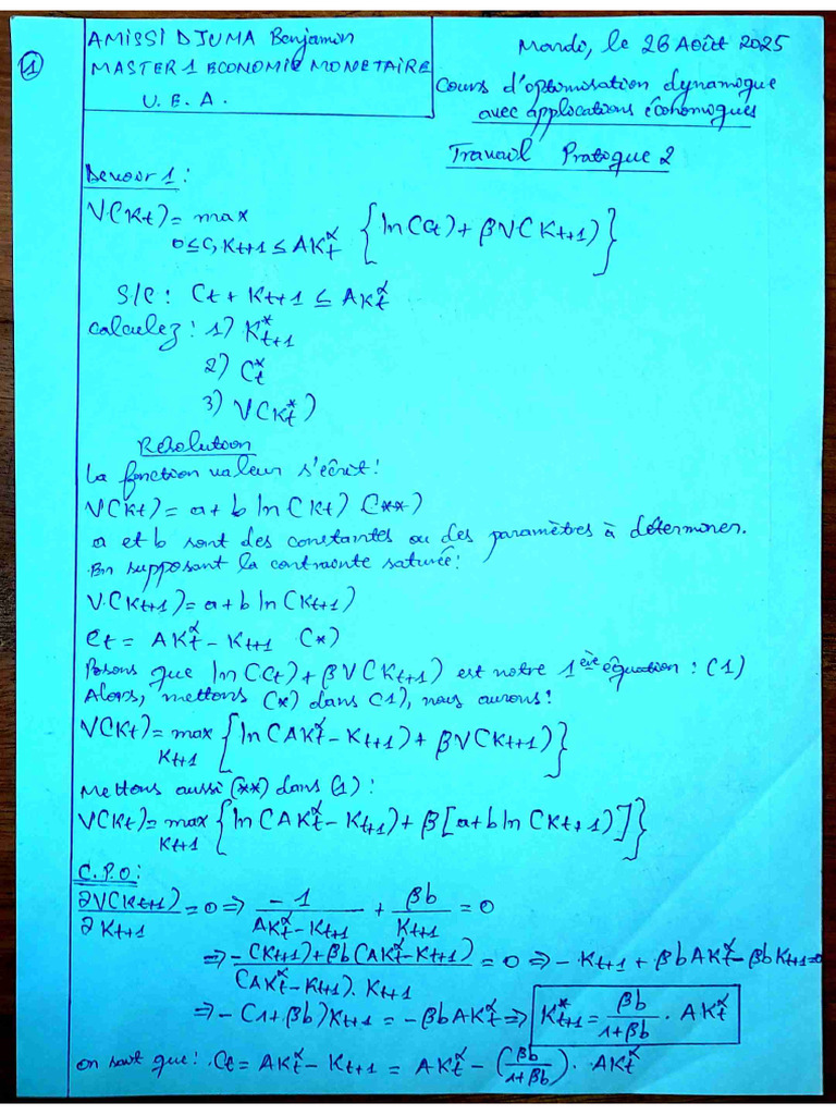 Travail Pratique 2 Optimisation | PDF