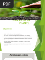Celery Xylem and Phloem Experiment | PDF | Plants | Botany