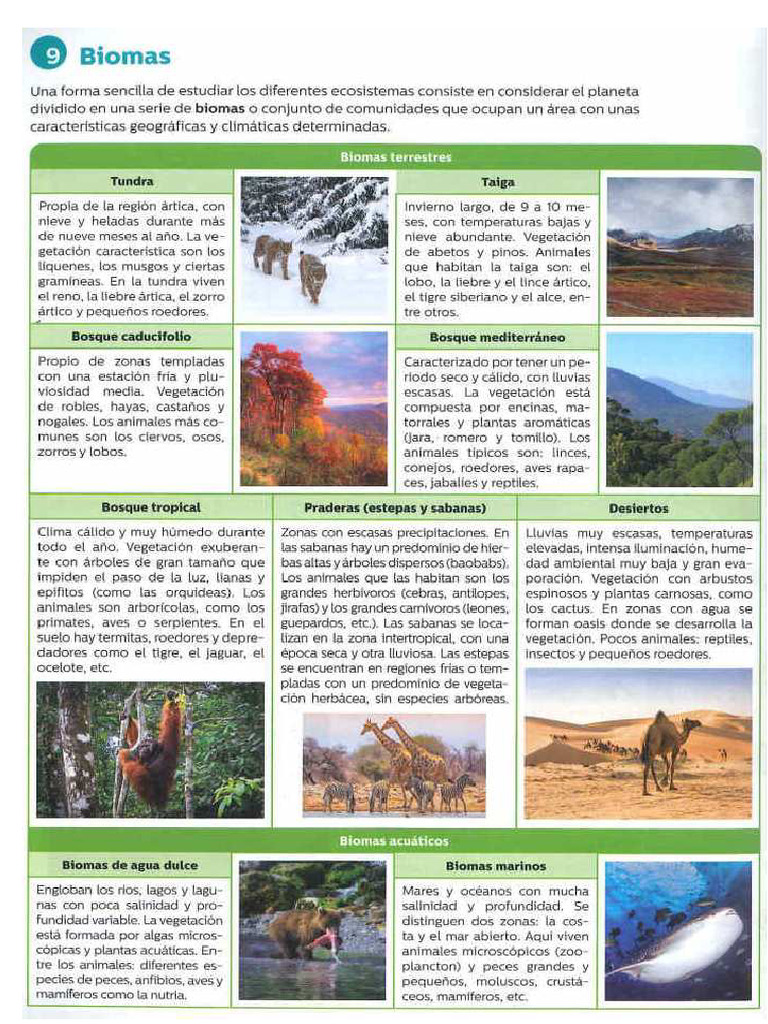 Actividades sobre Biomas Terrestres | PDF | Sabana | Habitat