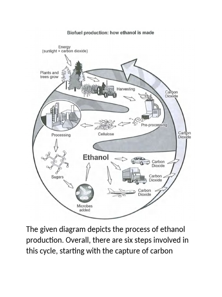 Ethanol Production Process Overview | PDF