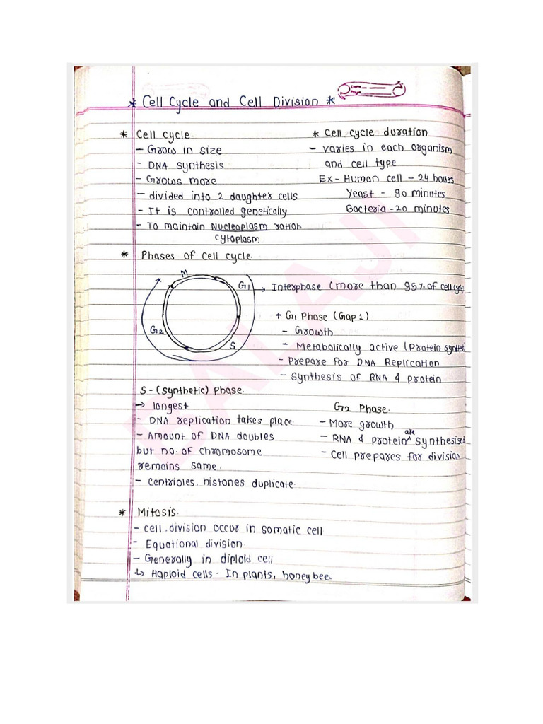 Notes Cell Cycle and Cell Division | PDF