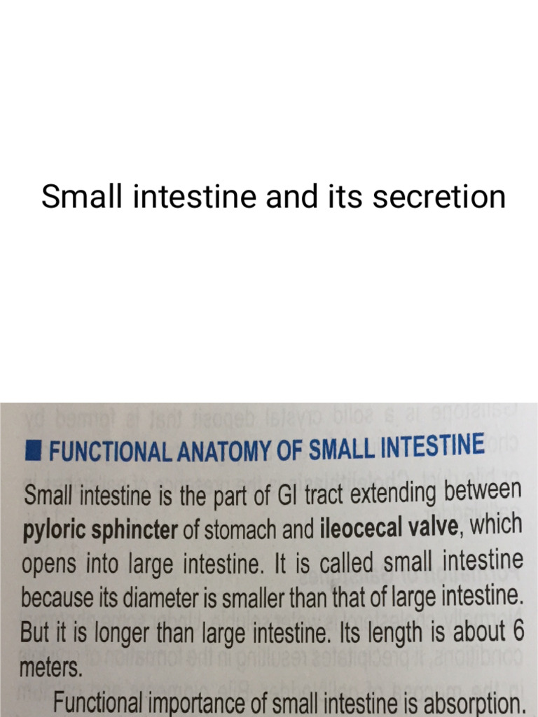 Part-5 Small and Large Intestine | PDF