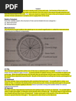 Tree Trunk Cross Section Explained | PDF