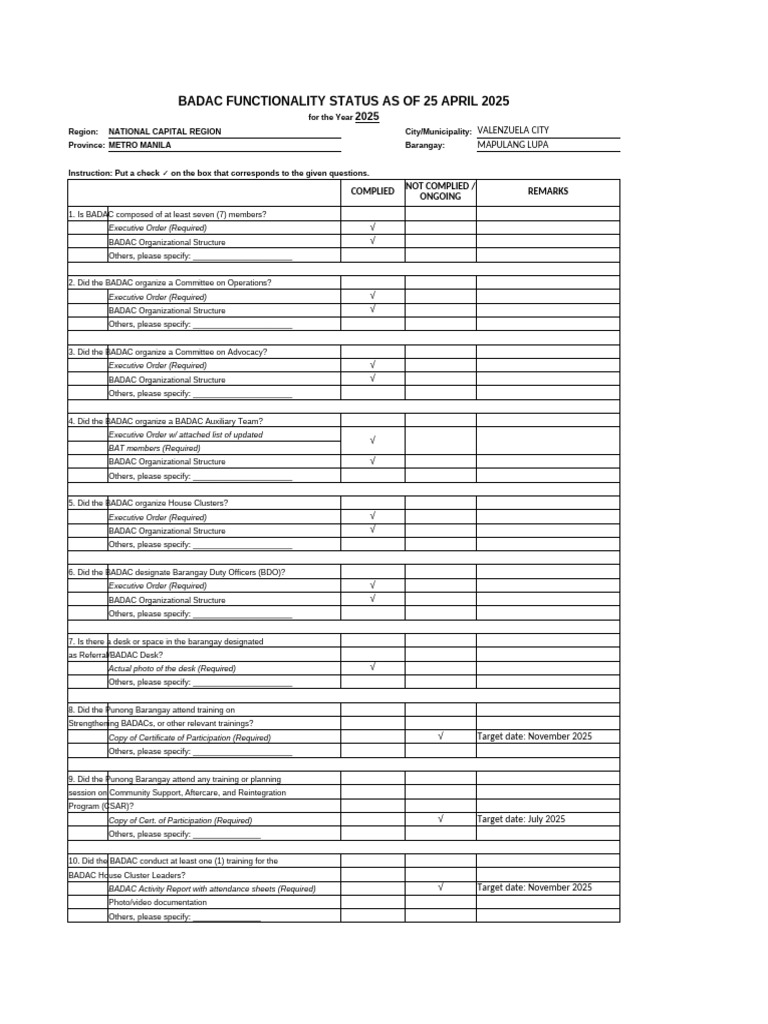 BADAC Functionality Assessment 2025 | PDF