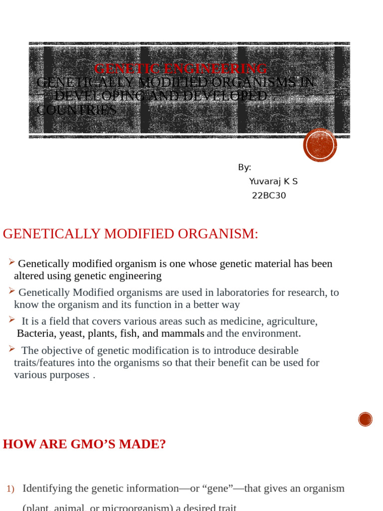 Genetic Engineering GMO's | PDF | Genetically Modified Organism ...