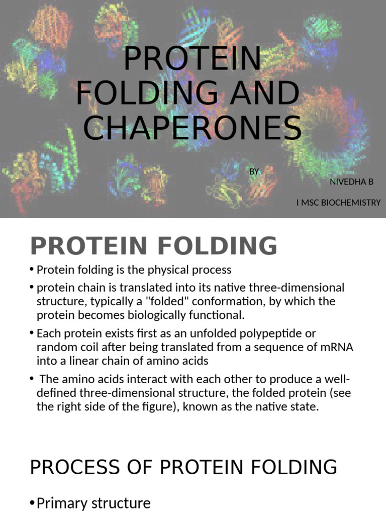 Protein Folding and | PDF | Protein Folding | Protein Structure