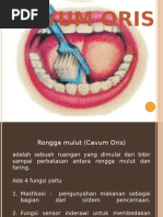 Struktur dan Fungsi Anatomi Mulut | PDF