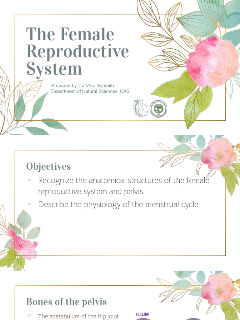 Anatomy and Physiology of Female Reproductive System | PDF | Menstrual ...