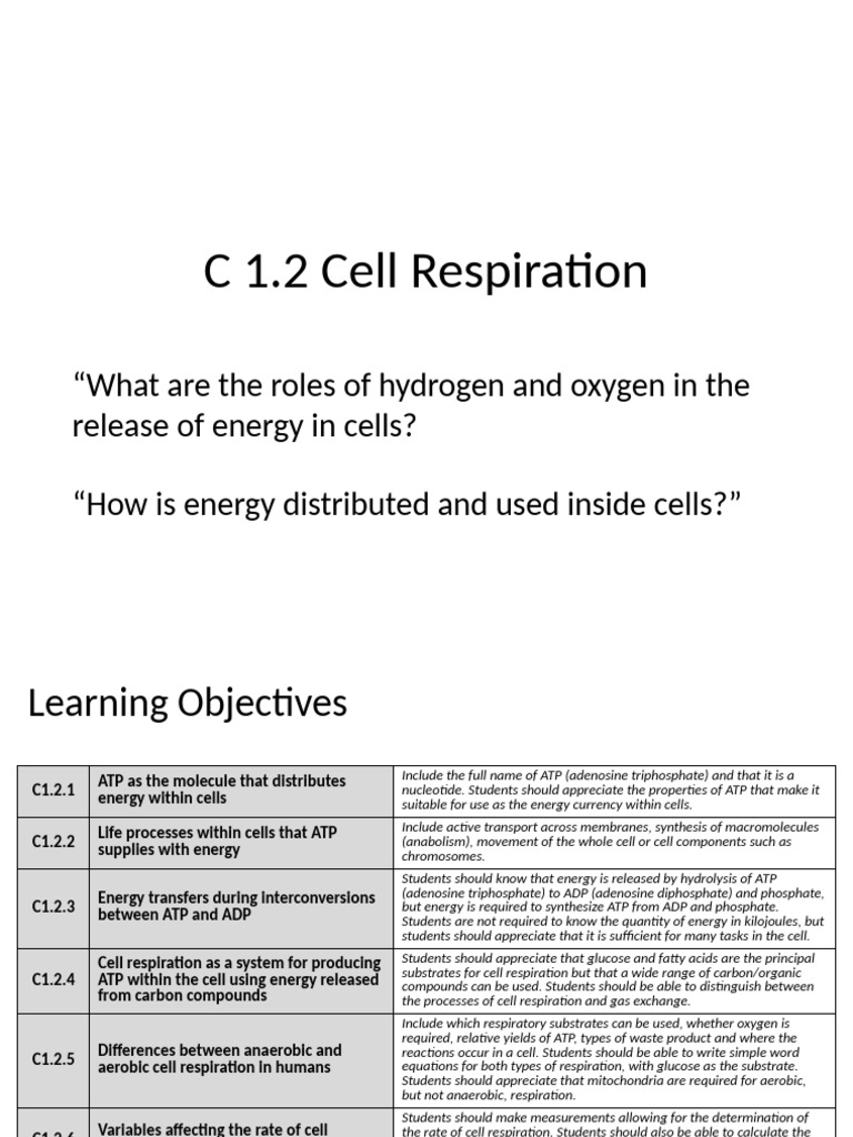 C 1.2 SL Cell Respiration | PDF | Cellular Respiration | Adenosine ...