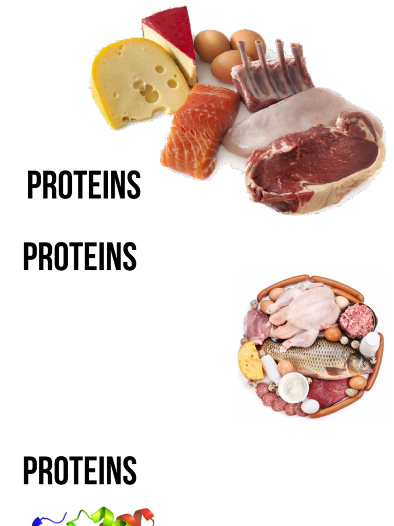 (Science) Proteins | PDF