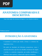 Simetria Corporal em Animais | PDF | Sistema nervoso | Corpo humano