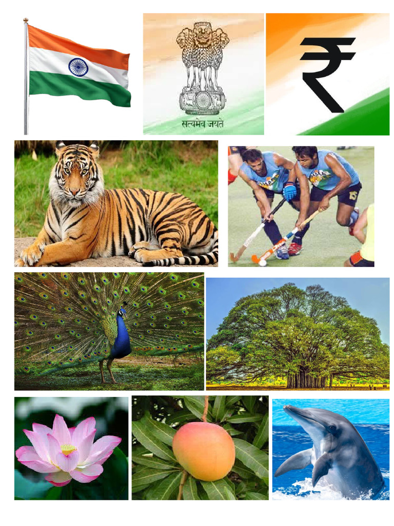 National Symblos 1 | PDF