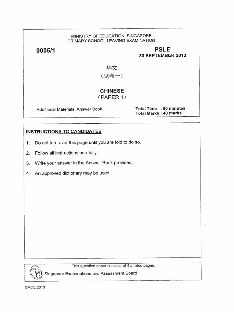 PSLE Chinese 2013 Paper 1 | PDF