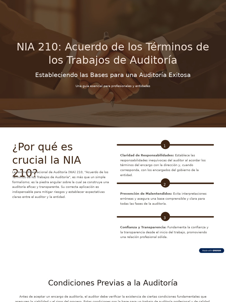 NIA-210 Acuerdo de Los Terminos de Los Trabajos de Auditoria | PDF ...