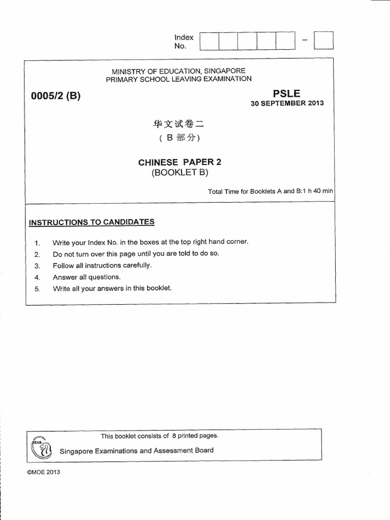 PSLE 2013 Chinese Paper 2 Exam | PDF