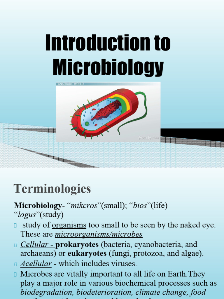 Introduction to Microbiology Basics | PDF | Microscopy | Microbiology