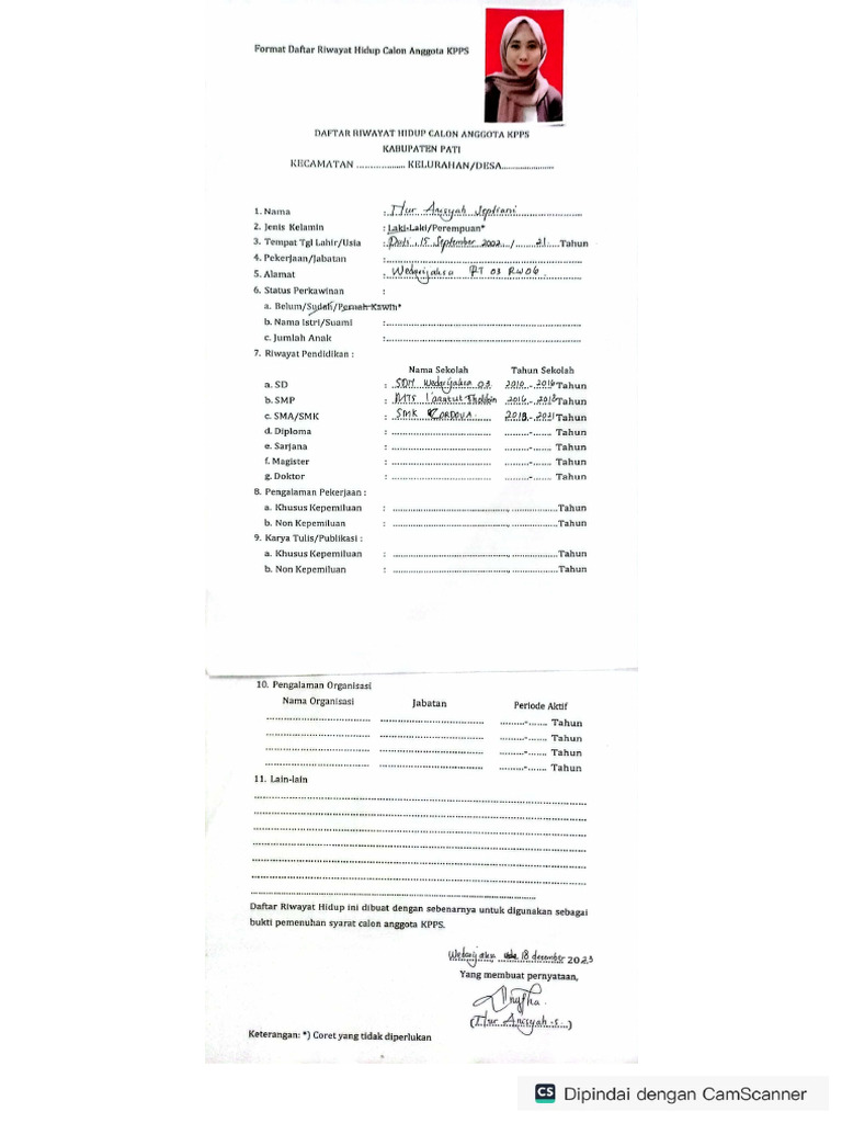Cv 3 Pdf