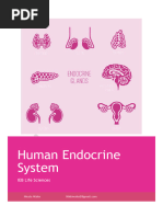 GR 12 LS Topic 7 - Human Endocrine System and Homeostasis | PDF ...