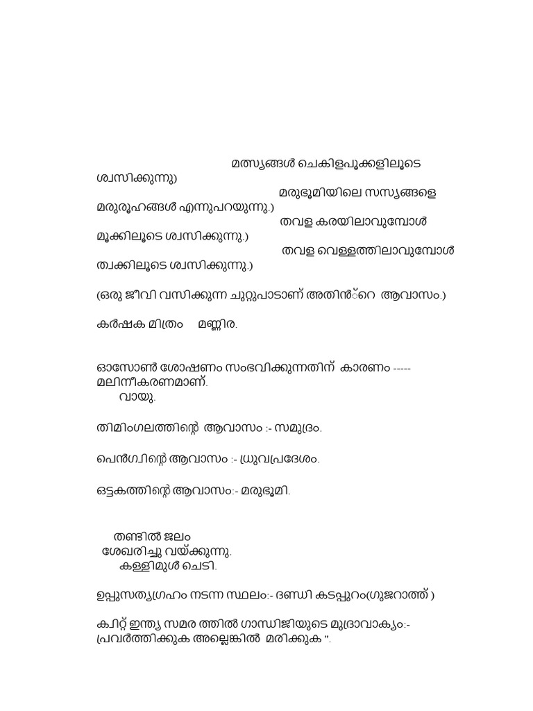 First Term Exam 23082025 | PDF