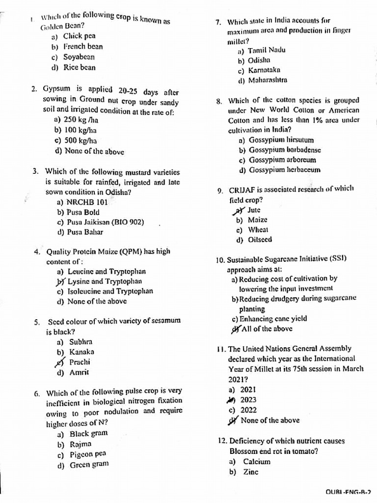 Ossc CHSL Scew Main 2024 Question Paper | PDF