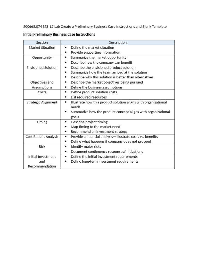 Create A Preliminary Business Case Instructions and Blank Template | PDF